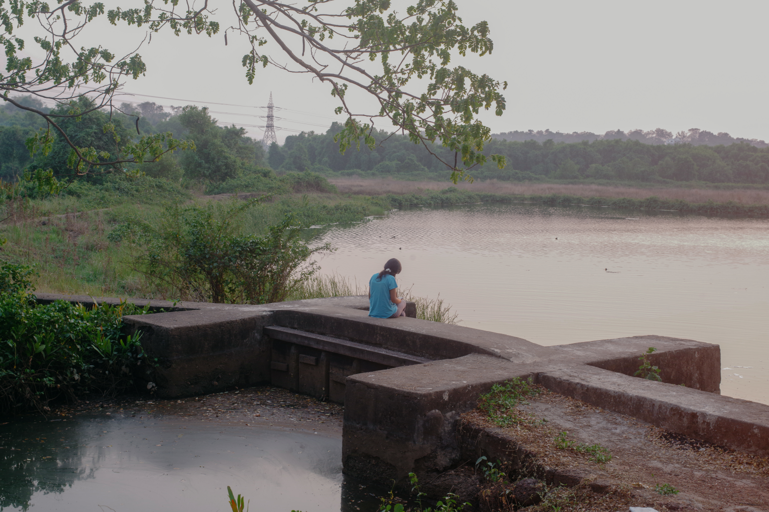 Mangroves, Fresh Fish, and Evening Walks by the Manus in Goa - Paper Planes