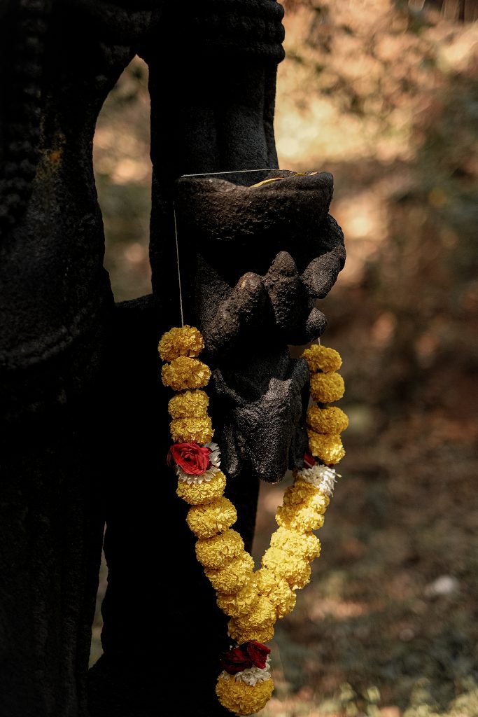 The Guardian Spirits of Goa - Paper Planes