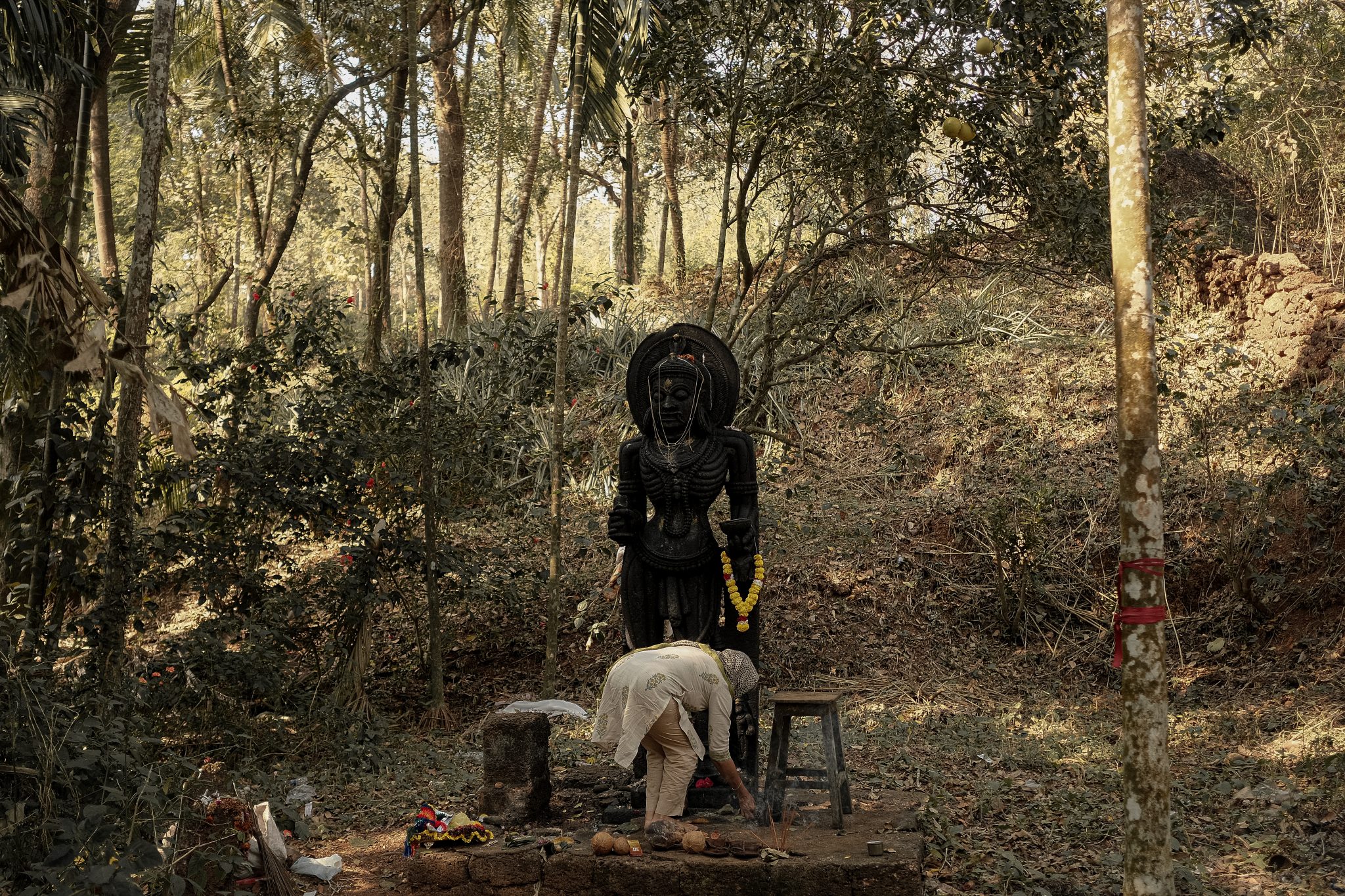 The Guardian Spirits of Goa - Paper Planes