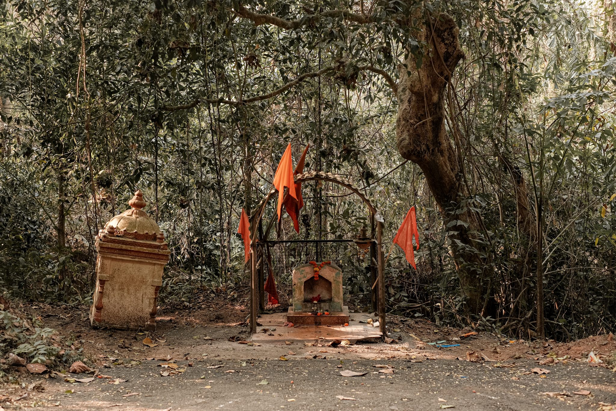 The Guardian Spirits of Goa - Paper Planes