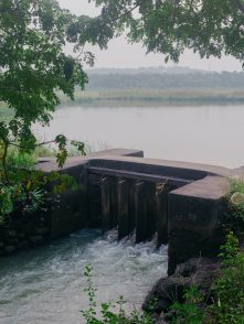 Mangroves, Fresh Fish, and Evening Walks by the Manus in Goa - Paper Planes