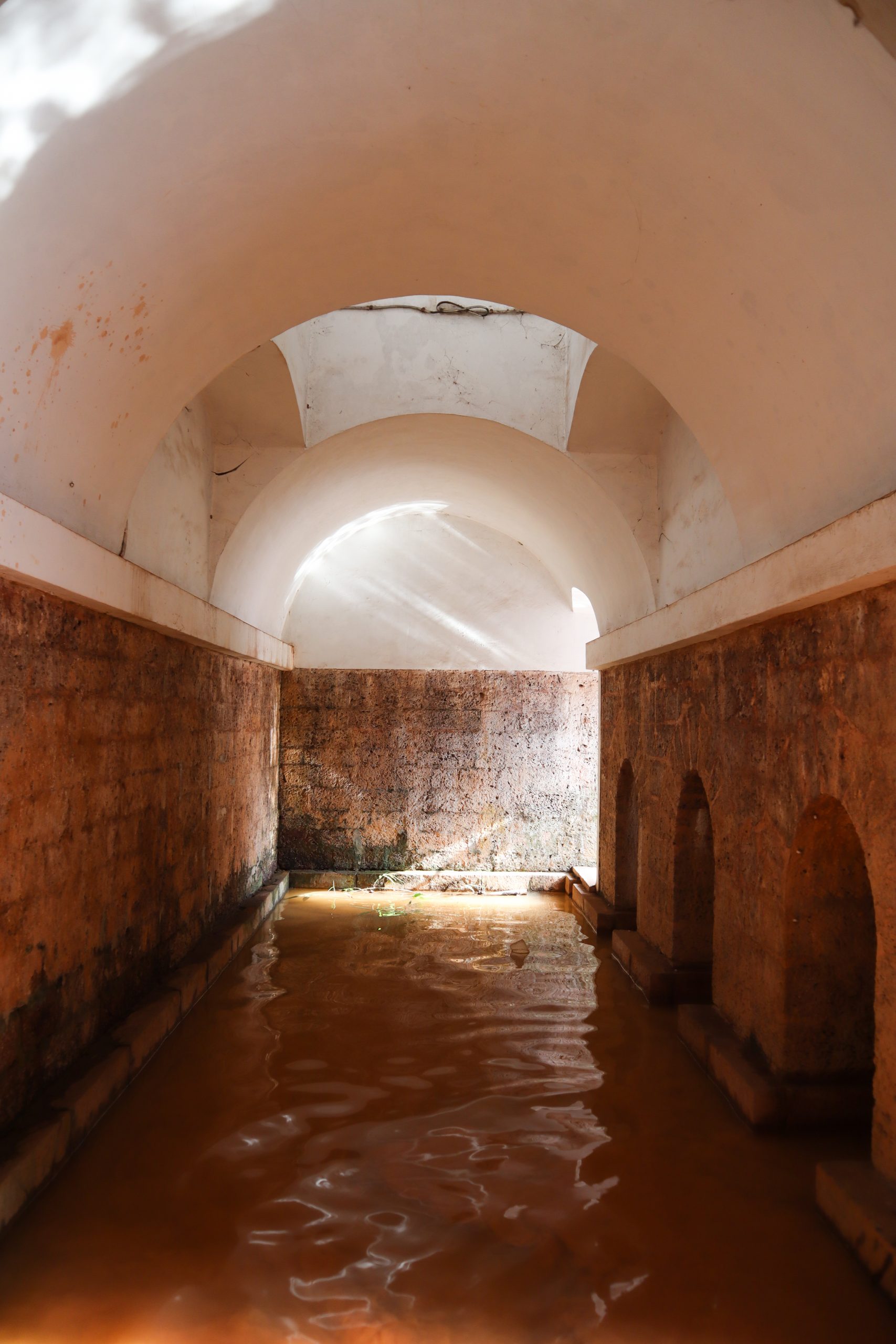 The Freshwater Springs that Dot Panaji - Paper Planes